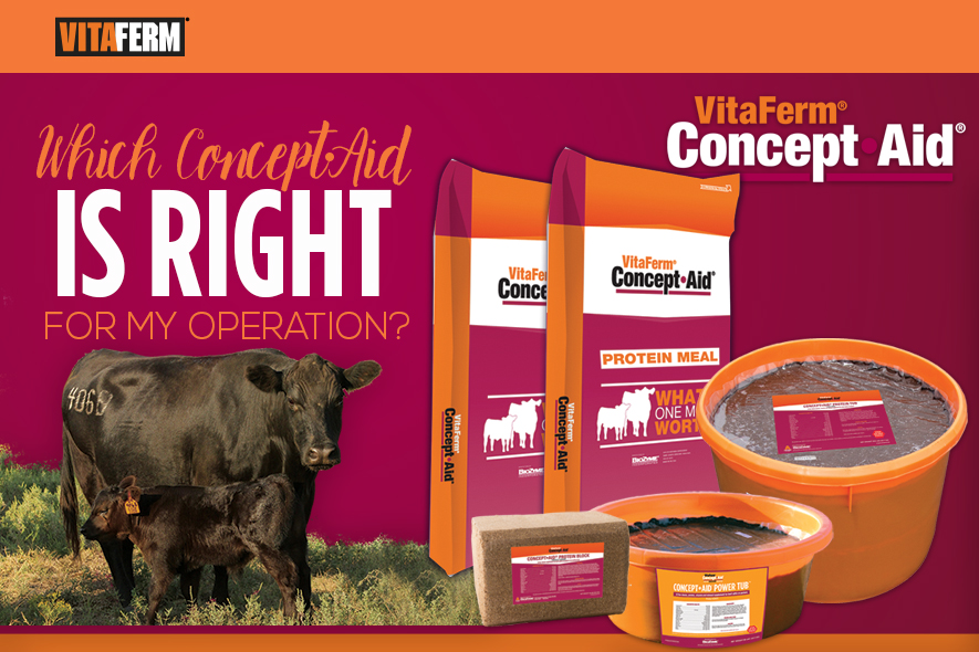 Concept•Aid: Find Out Which Formula Is Right For You - VitaFerm