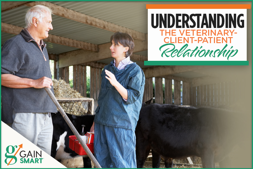 Understanding the Veterinary-Client-Patient Relationship - VitaFerm