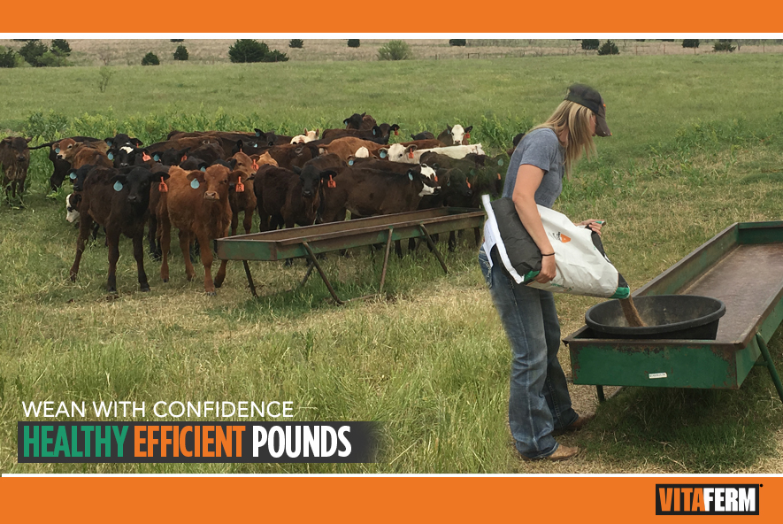 Wean with Confidence with the Gain Smart Program - VitaFerm