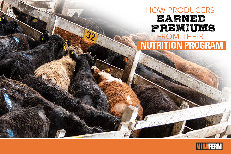 How Producers Earned Premiums from Their Nutrition Program - VitaFerm
