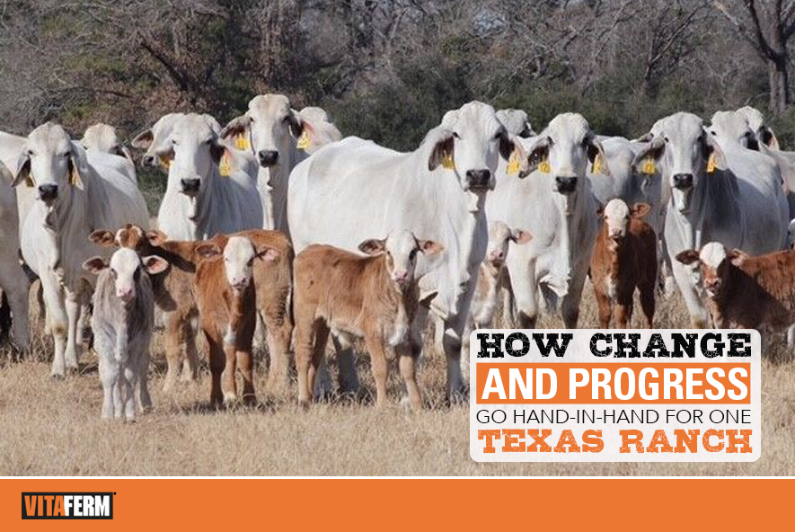 How Change and Progress Go Hand-in-Hand - VitaFerm