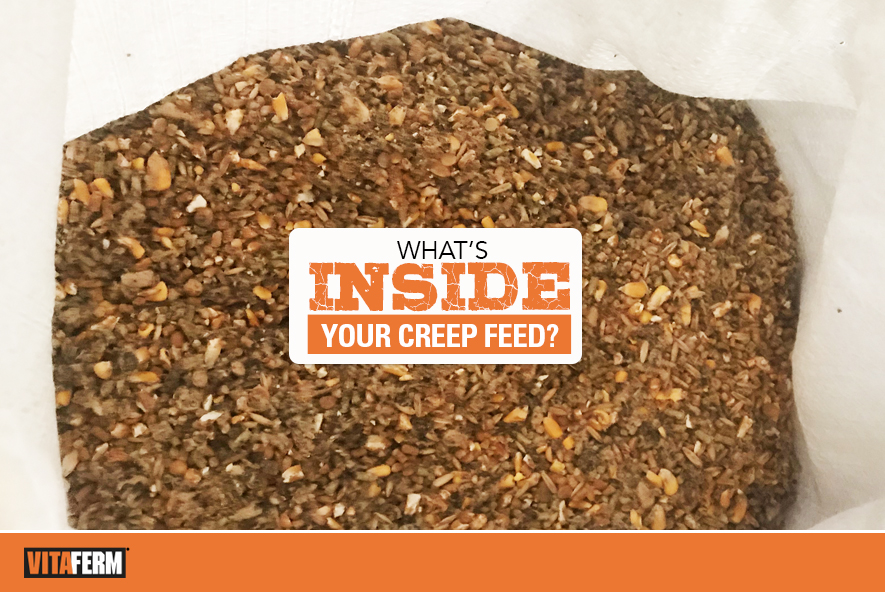 What’s Inside Your Creep Feed? - VitaFerm