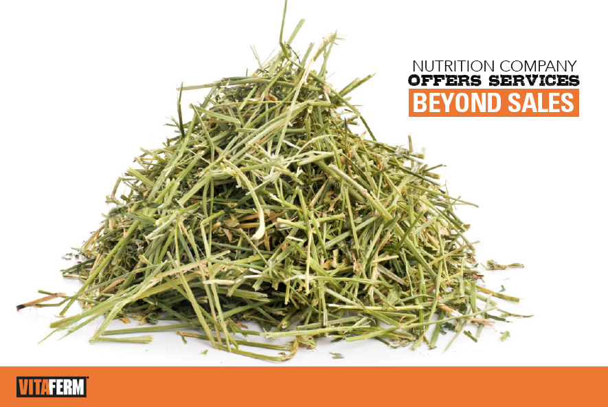 Nutrition Company Offers Services Beyond Sales - VitaFerm