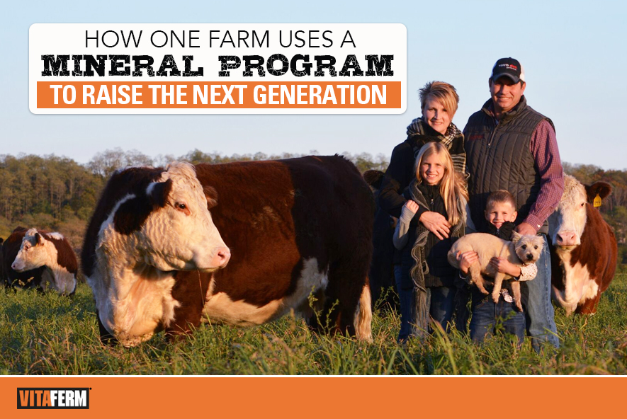 How one Farm Uses a Mineral Program to Raise the Next Generation - VitaFerm