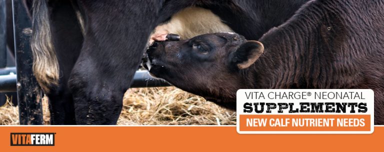 Vita Charge® Neonatal Supplements New Calf Nutrient Needs - VitaFerm