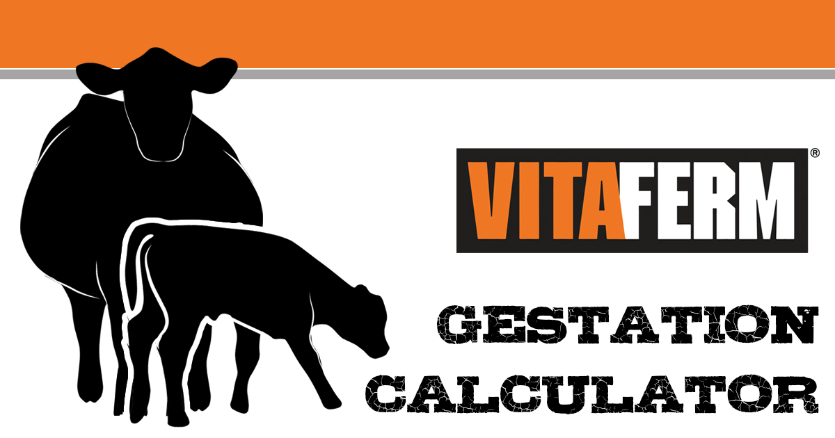 VitaFerm® Concept•Aid® Gestation Calculator - VitaFerm