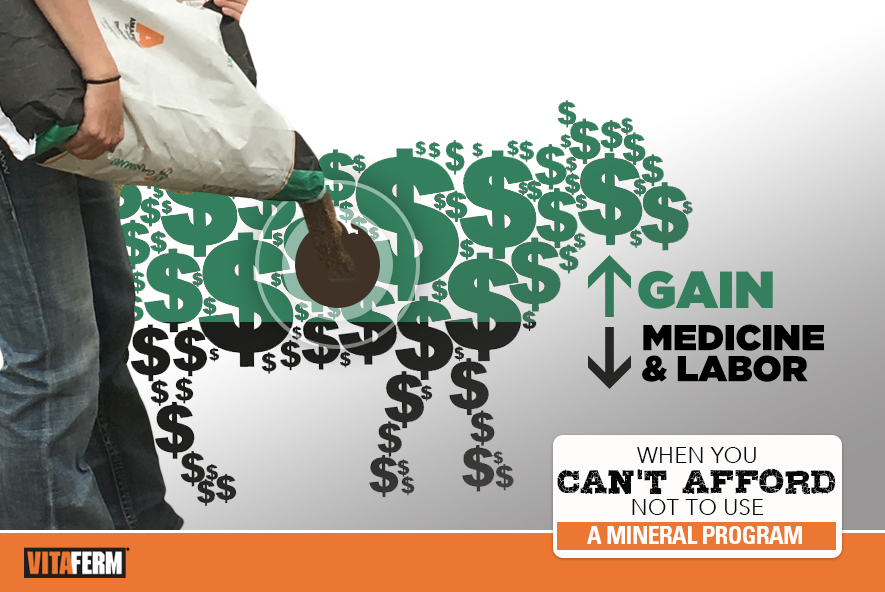 When You Can’t Afford Not to Use a Mineral Program - VitaFerm