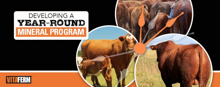 Developing a Year-Round Mineral Program - VitaFerm
