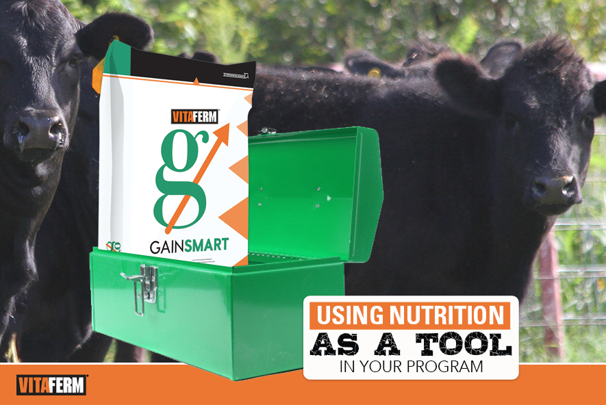 Using Nutrition as a Tool in Your Program - VitaFerm