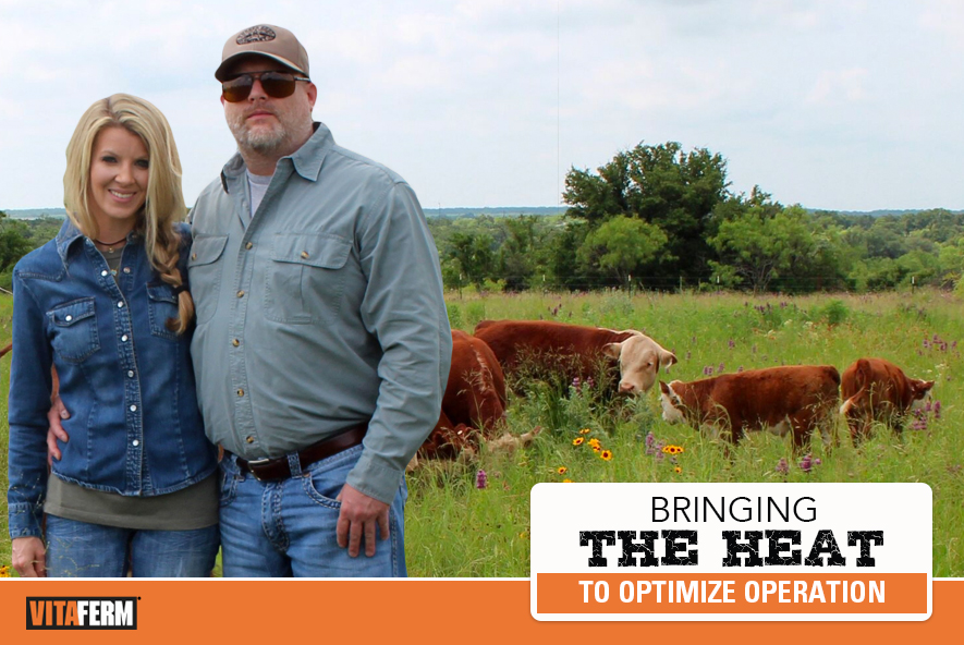 Bringing the Heat to Optimize Operation - VitaFerm