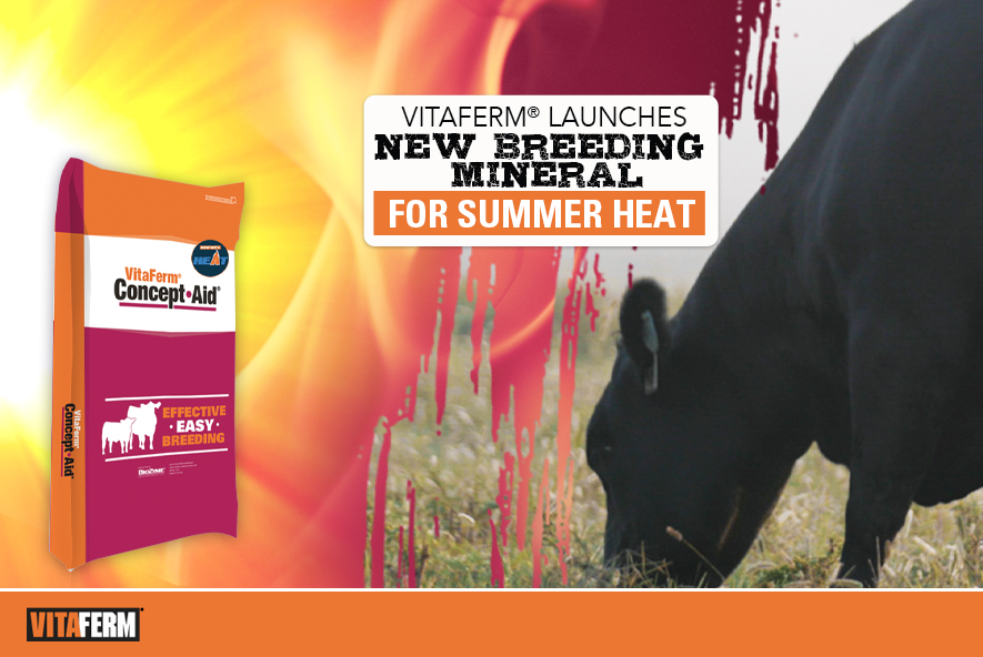 BioZyme® Launches New Breeding Mineral for Summer Heat - VitaFerm