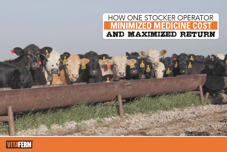 How One Stocker Operator Minimized Medicine Cost and Maximized Return ...