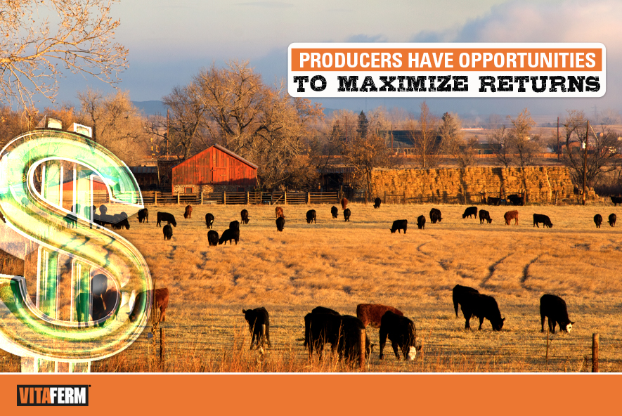 Producers have Opportunities to Maximize Returns - VitaFerm