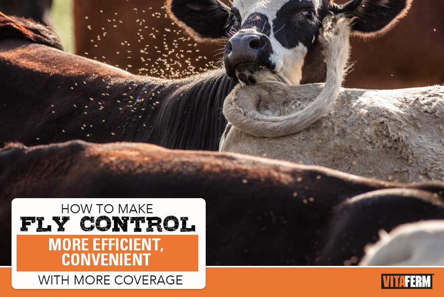 How to Make Fly Control More Efficient, Convenient with More Coverage ...