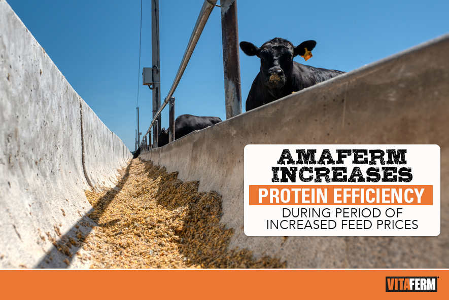 Amaferm Increases Protein Efficiency during period of Increased Feed ...