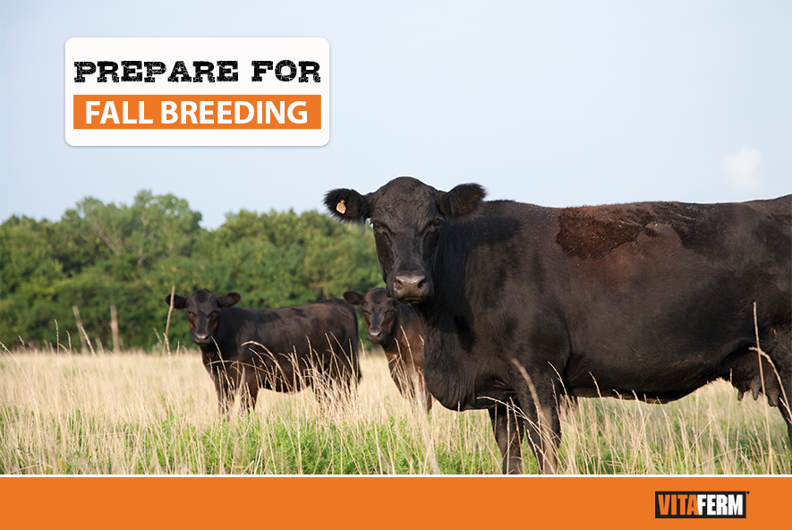 Fall Breeding Nutritional Considerations - VitaFerm