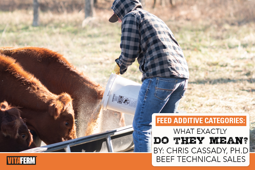 Feed Additive Categories: What Exactly Do They Mean? - VitaFerm