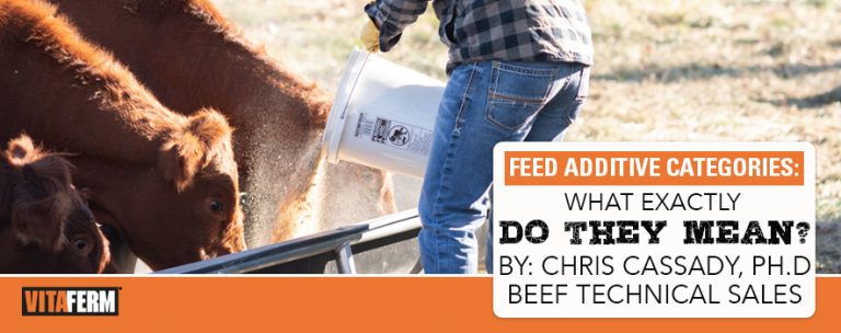 Feed Additive Categories: What Exactly Do They Mean? - VitaFerm