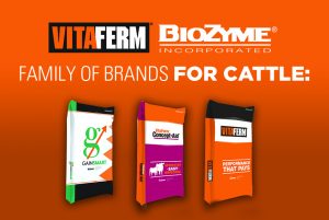 BioZyme® Brands Cover all Sectors of Beef Business - VitaFerm