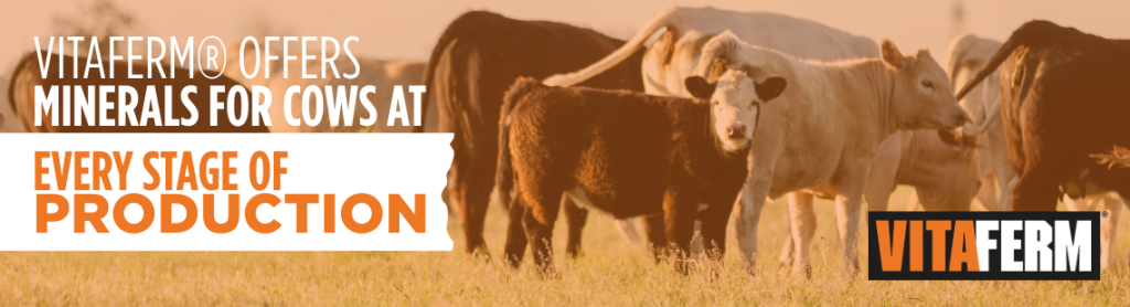 VitaFerm® Offers Minerals for Cows in Every Stage of Production - VitaFerm