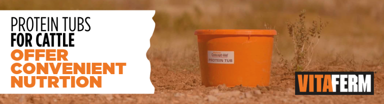 Protein Tubs for Cattle Offer Convenient Nutrition - VitaFerm