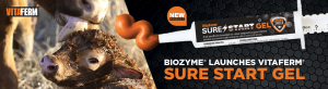 National Beef Wire | BioZyme® Launches VitaFerm® Sure Start Gel