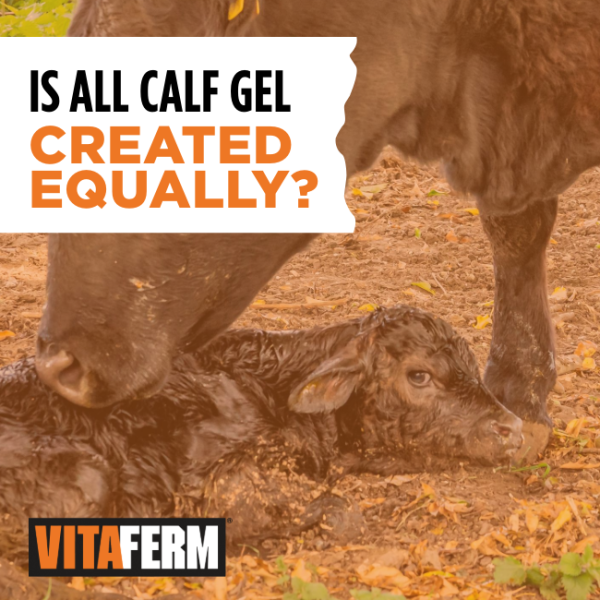 VitaFerm® Concept•Aid® Gestation Calculator - VitaFerm